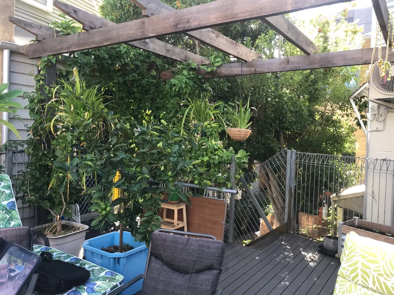Co-op Housing in Australia - ACHA
